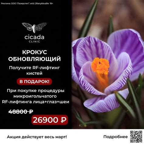 Cicada Clinic Ru