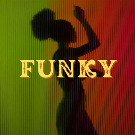 Funkyhouse·复古摇摆 Dj 電鰻小姐的串烧dj舞曲歌单
