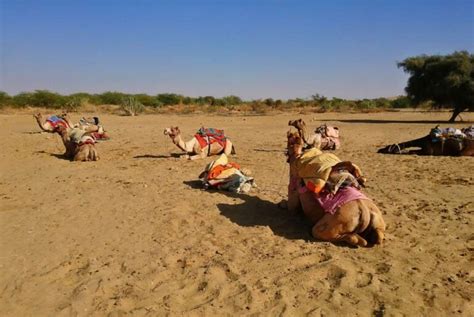 Desert Of Jaisalmer Twist And Twain