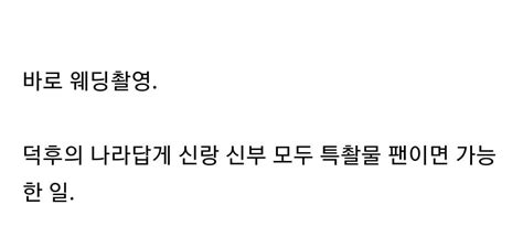 요즘 일본에서 유행하는 웨딩촬영 웃긴자료 도탁스 DOTAX