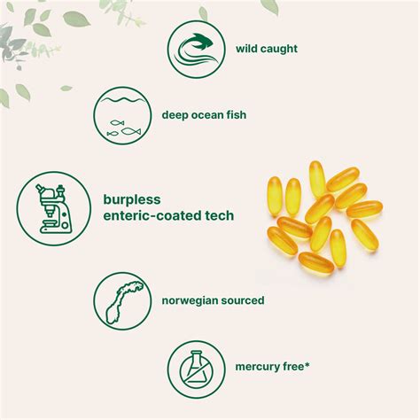 Micro Ingredients Suplemen Vitamin Untuk Pria Dan Wanita