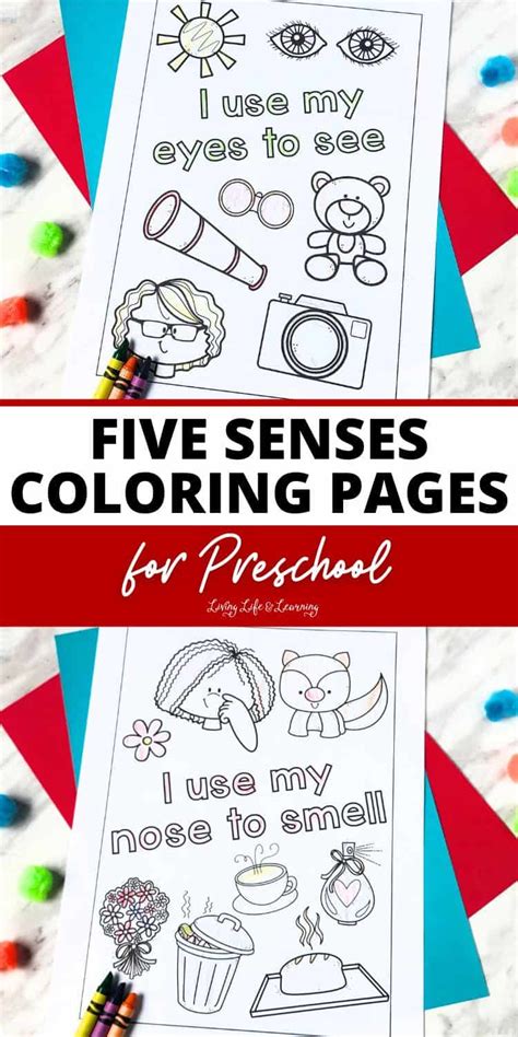 Five Senses Coloring Pages For Preschool