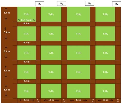 Randomised Block Design Set Up Download Scientific Diagram
