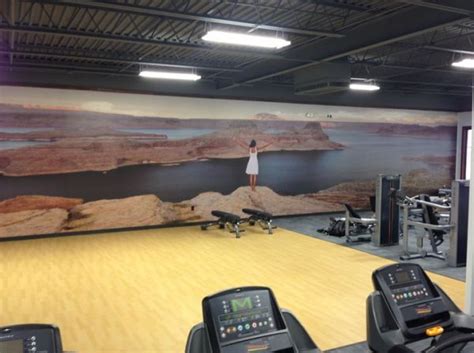 Best Wall Murals Sacramento Custom Vinyl Graphics Near Me