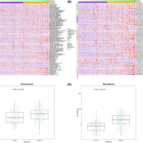 Estimation Of Immune Cell Infiltration Abundance In High‐ And Low‐risk