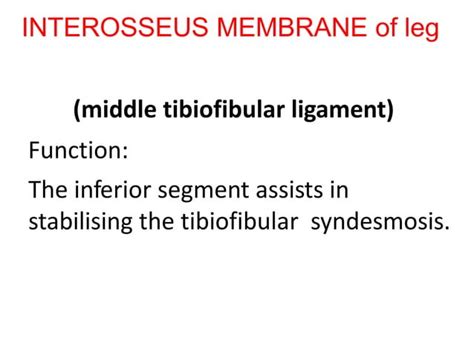 Ankle And Tibiofibular Joint Pptx