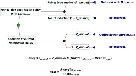 Conceptual Framework Of The Current Benefit Cost Analysis Through