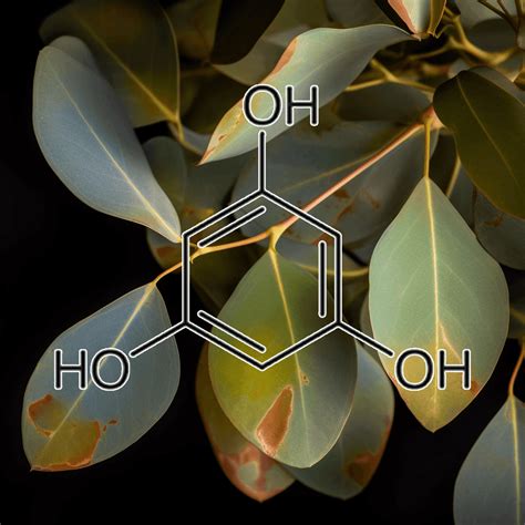 Phloroglucinol Interstellar Blends