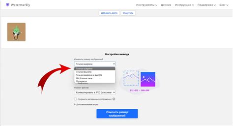 Изменить размер  бесплатно и онлайн Watermarkly