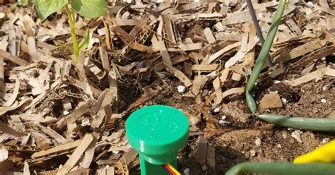 Adafruit Stemma Capacitive Soil Sensor Cover For Iot Garden By Ewr2san Adafruit Stemma Capacitive Soil Sensor Cover For Iot Garden By Ewr2san