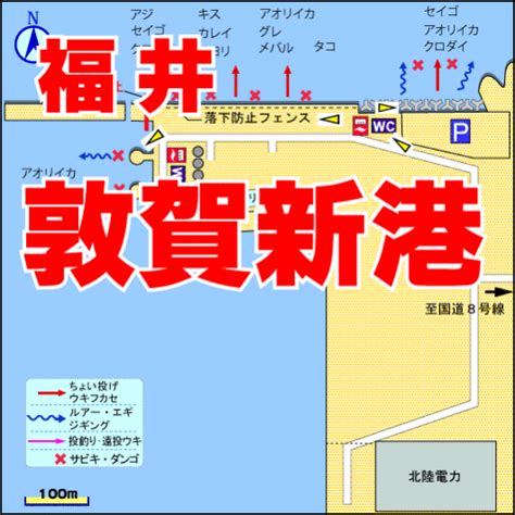 福井県の釣り場 白木 しらき 漁港 釣り場サイトFISH MAPS