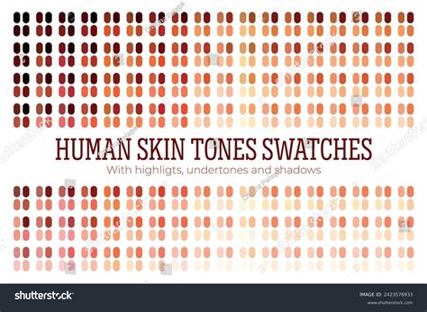Human Skin Tones Swatches Color Palette Stock Vector Royalty Free