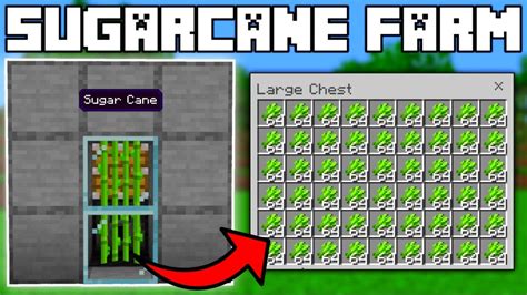 🦅 Minecraft Bedrock 121 Easy Sugarcane Farm Tutorial Youtube