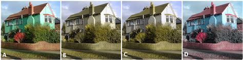 Dichromacy Novel Context Based Segmentation Algorithms For