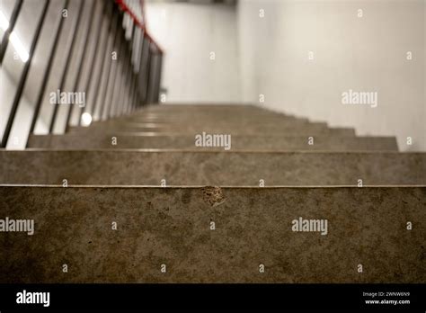 Looking Up Stairwell From Below Worm S Eye View Chipped Off Stair Step Stock Photo Alamy