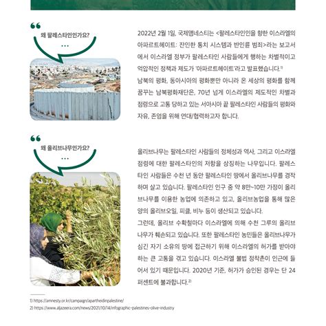 팔레스타인 올리브나무 프로젝트 남북평화재단