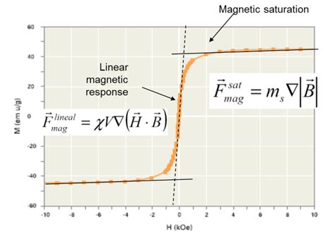 Understanding The Magnetic Force For Scaling Up Magnetic Bead Separation Processes Sepmag