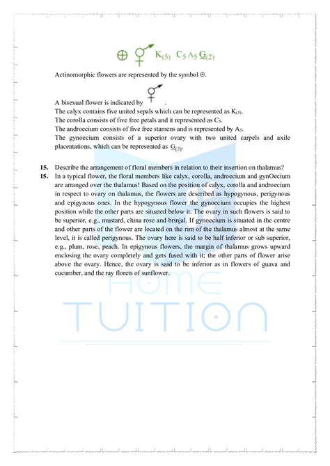 Ncert Solutions For Class 11 Biology Chapter 5 Morphology Of Flowering