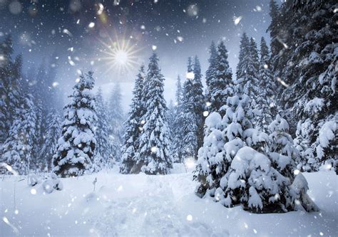 Fuertes Nevadas Y Frío En México Para Finalizar 2020