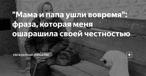 Мама и папа ушли вовремя фраза которая меня ошарашила своей честностью Убежденный холостяк