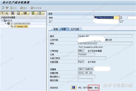 Sap 问题篇 17 Kkf6n创建成本收集器时物料的控制级别不能选择【生产版本】，默认是生产工厂计划编制计划 知乎