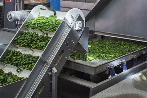 Rafael Celorio Director General De La Costeña Habla De Su Futuro