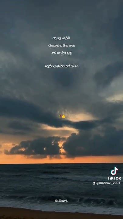 පවුල නිසා වෙන් වෙන්න උන ආදර කතා කොච්චර ඇතිද Youtube