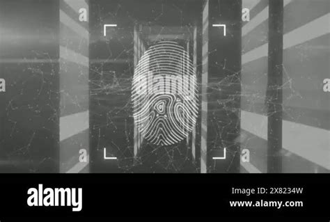 Fingerprint Scan Video Animation Biometric Identification Scanning