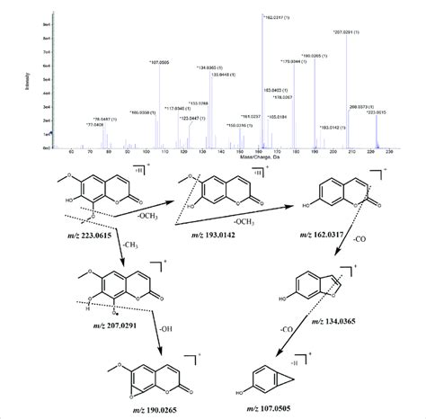 Msms Spectrum Of Isofraxidin In Cwt And Speculated Fragmentation Pathway Download Scientific