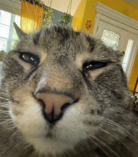 High Ass Wink Rihaveihaveihavewunkus