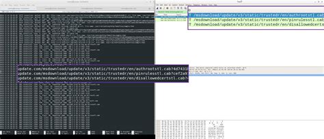 Building A Custom Malware Analysis Lab Environment SentinelLabs