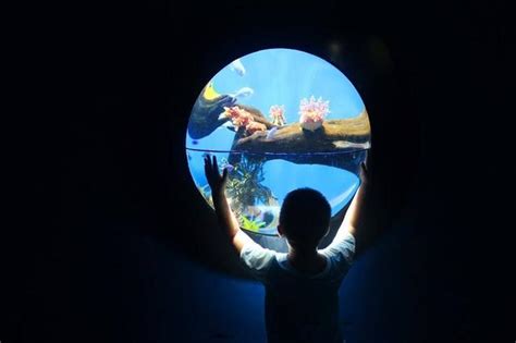 王者榮耀：免費送10個五級銘文？這個改動太6了！ 每日頭條