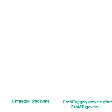 Resources Impact Proteomics