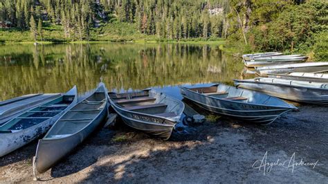 Syncing Edits With More Than One Lightroom Classic Catalog Photofocus