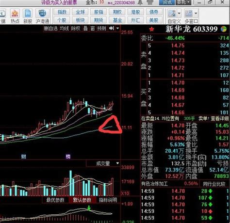 新华龙股吧东方财富网 东方财富网股吧 股吧 大山谷图库