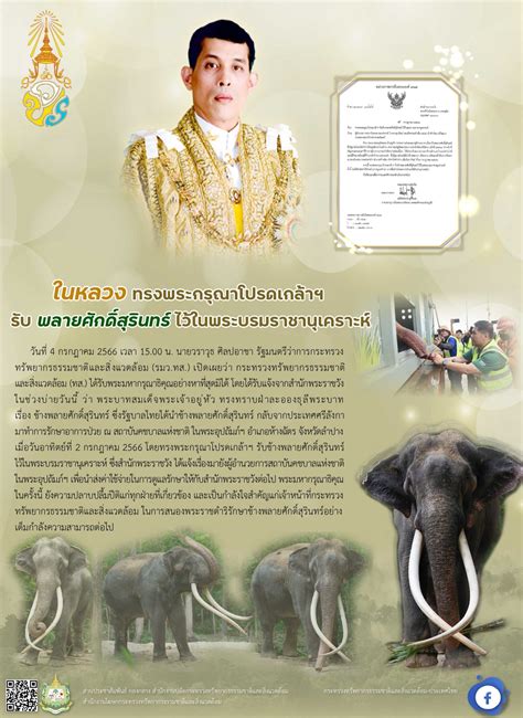สถาบันคชบาลแห่งชาติ ในพระอุปถัมภ์ฯ น้อมรำลึกในพระมหากรุณาธิคุณอย่างหา