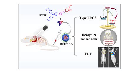 Nanospheres Of Near Infrared Aggregation Induced Emission Probes To