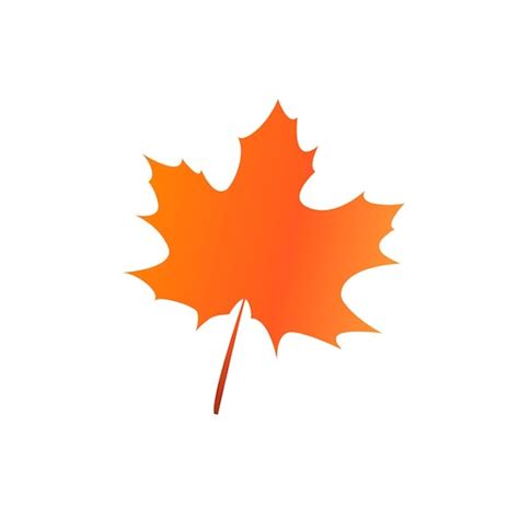 Vibrant Orange Maple Leaf Vector Illustration Jiffy Designs