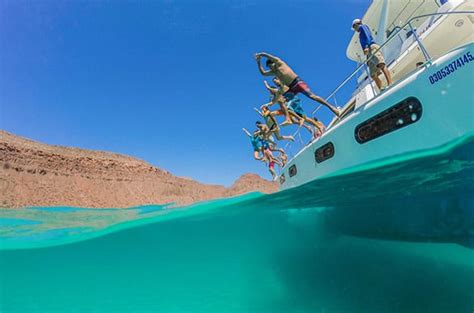 El Mar De Cortés El Impresionante Acuario Del Mundo” Cabo Adventures