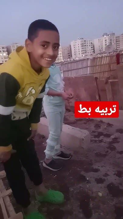 تربية البط علي السطح Youtube