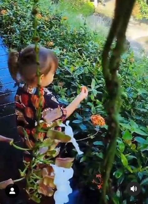 8 Latest Photos Of Zalina Raisa And Hamish Dauds Growing Daughter According To Netizens She