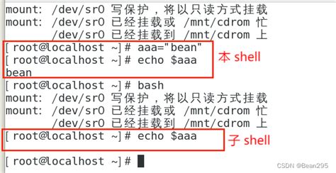 Shell 变量与条件测试shell 检查是否设置了环境变量 Csdn博客