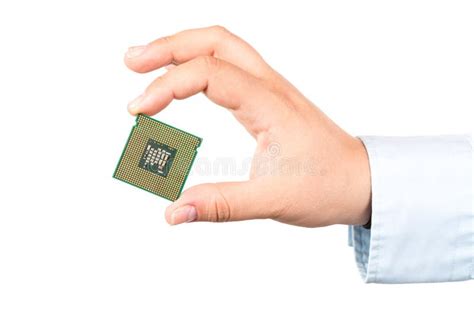 Hand Holding CPU Microchip Computer Isolated On White Background Stock Image Image Of Central