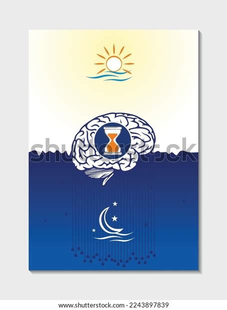 Day Night Cycle Scheme Daily Human Stock Vector Royalty Free 2243897839 Shutterstock