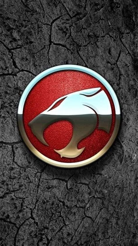 Pin De JAY DRIGUEZ En HE MAN SHE RA THUNDER CATS En Superman Fondos De Pantalla Fondo De