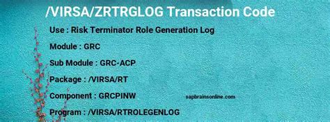VIRSA ZRTRGLOG SAP Tcode For Risk Terminator Role Generation Log