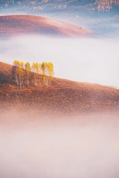 Autumn Fog Tumbex