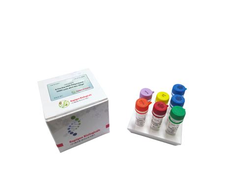 Cdna Synthesis Kit Tradekorea