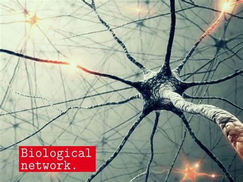 Overlapping Community Detection In Large Scale Networks Using Bigclam Model Build On Apache