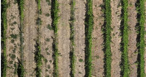 Agriculture And Farm Mapping Guide For Agriculture Precision 2024